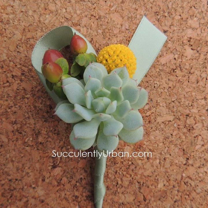 Succulent Crown | Urban Succulents