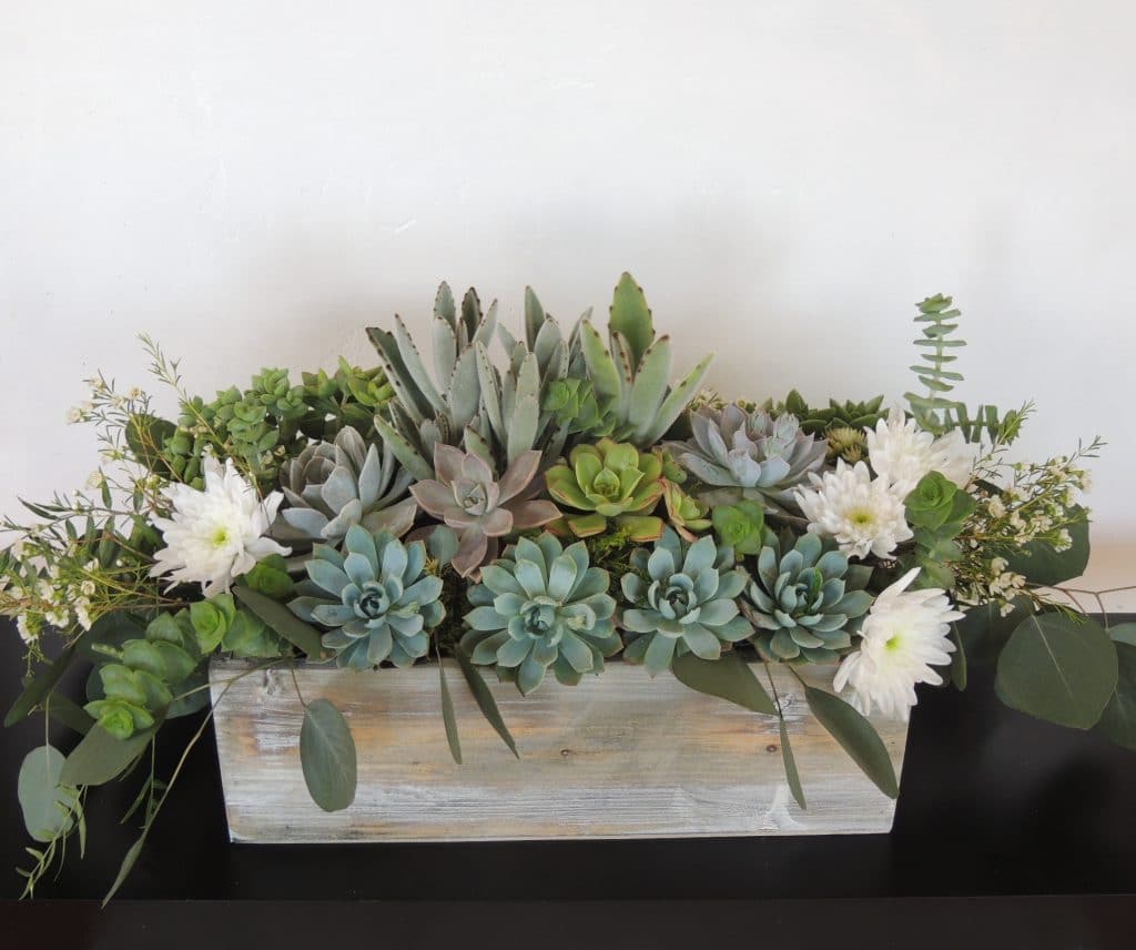 Succulent bouquet sustainable