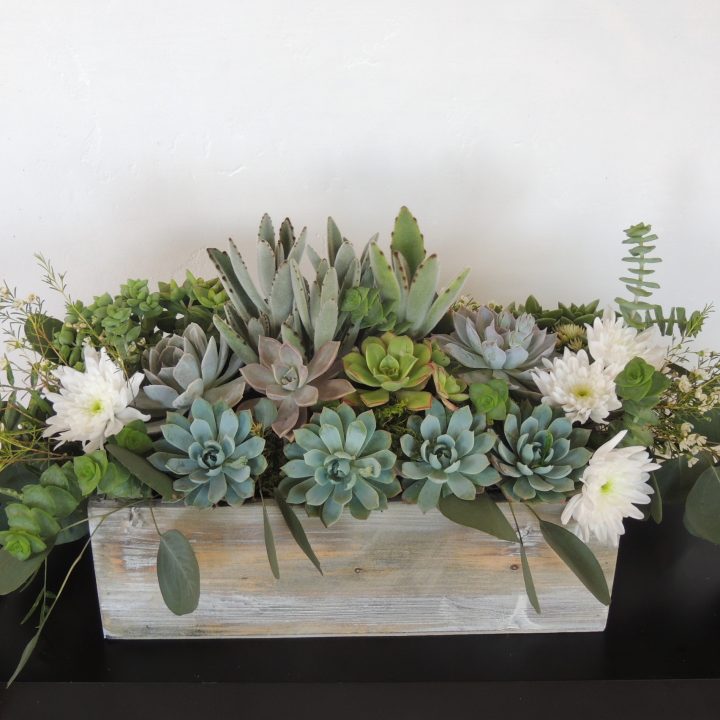 Succulent bouquet sustainable