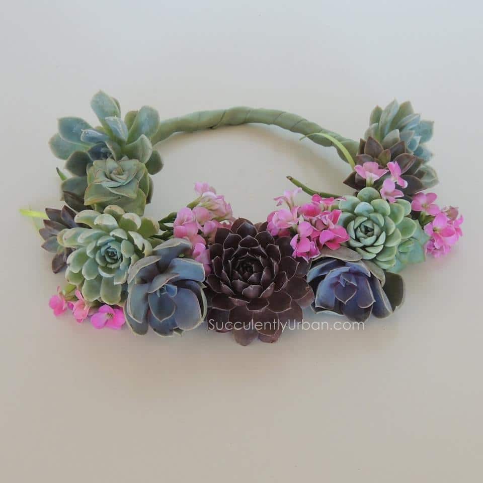 Succulent crown | Urban Succulents
