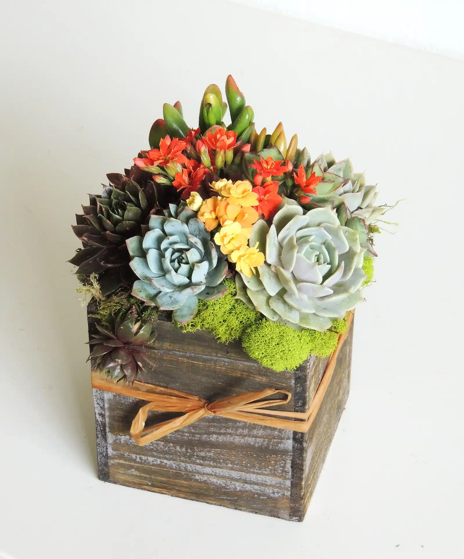 Succulent arrangement for table tops and outdoor tables