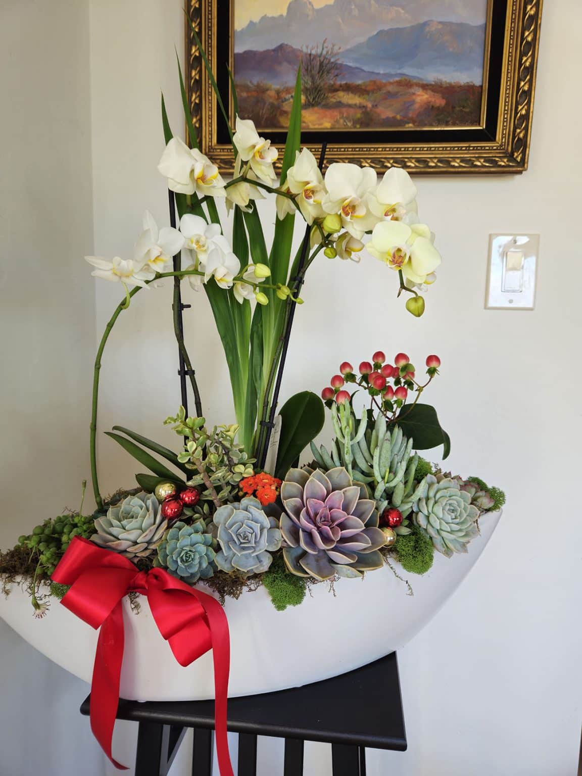 Bubble Succulent Terrarium-Large | Urban Succulents